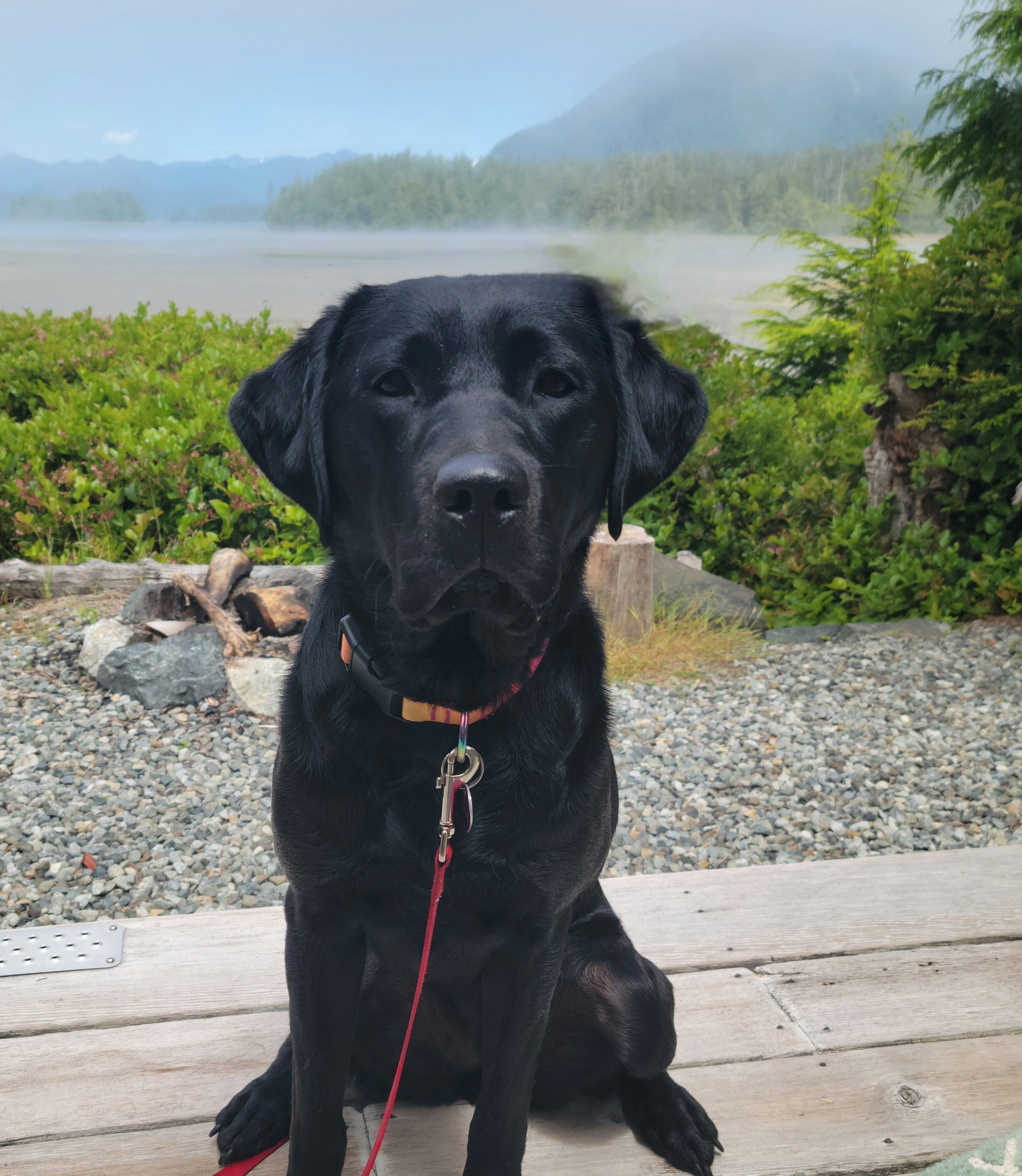 Dior | June 2025 - PADS