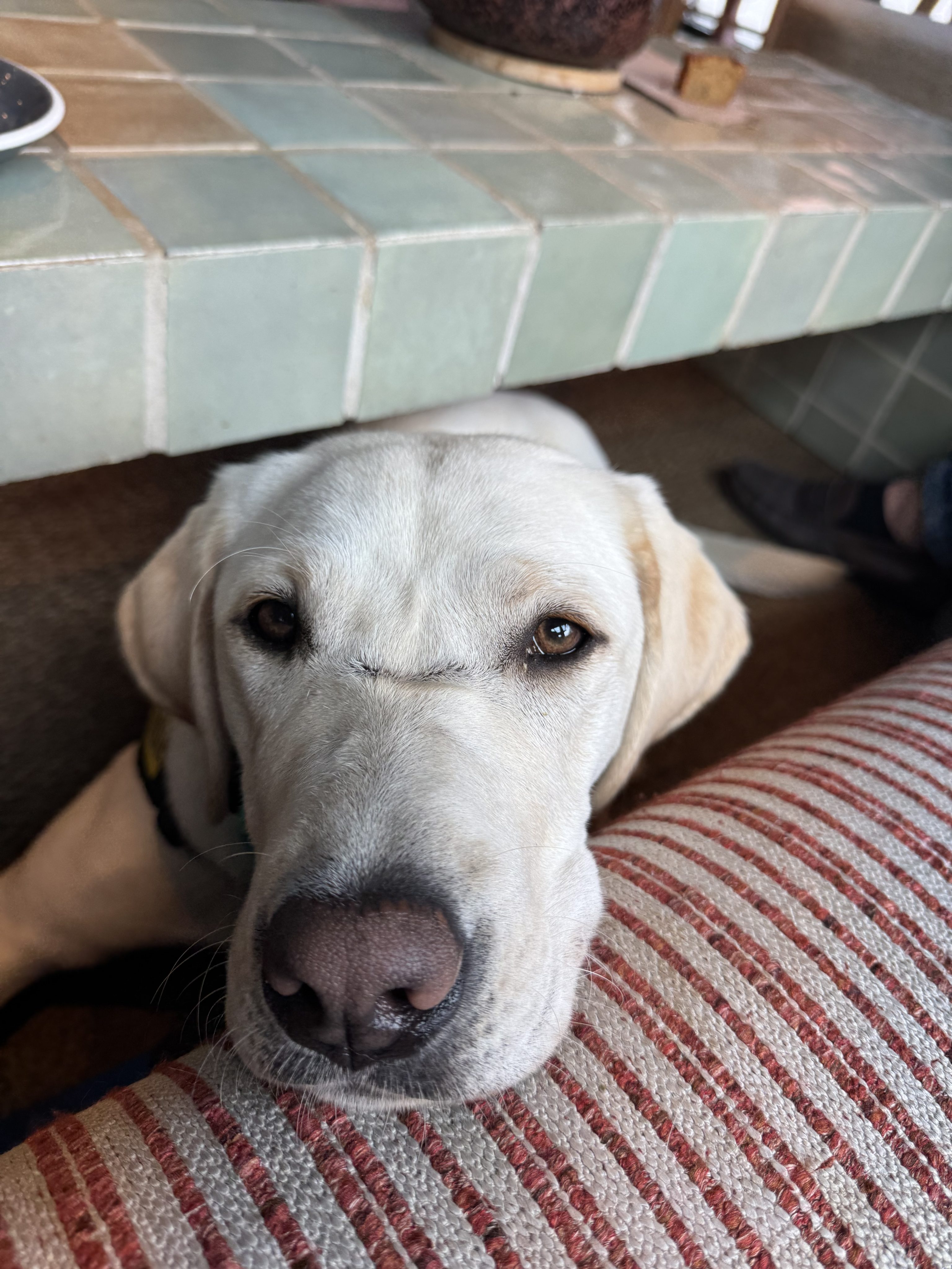 Gem II | July 2025 - PADS