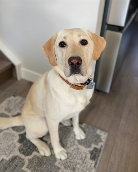 Compass | August 2022 | PADS