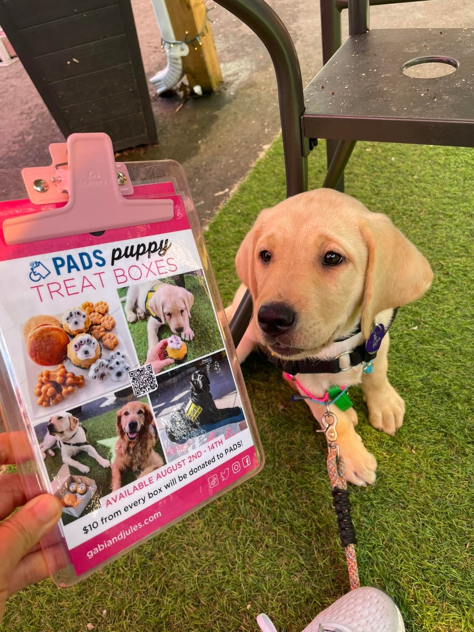 Pepa | August 2022 - PADS