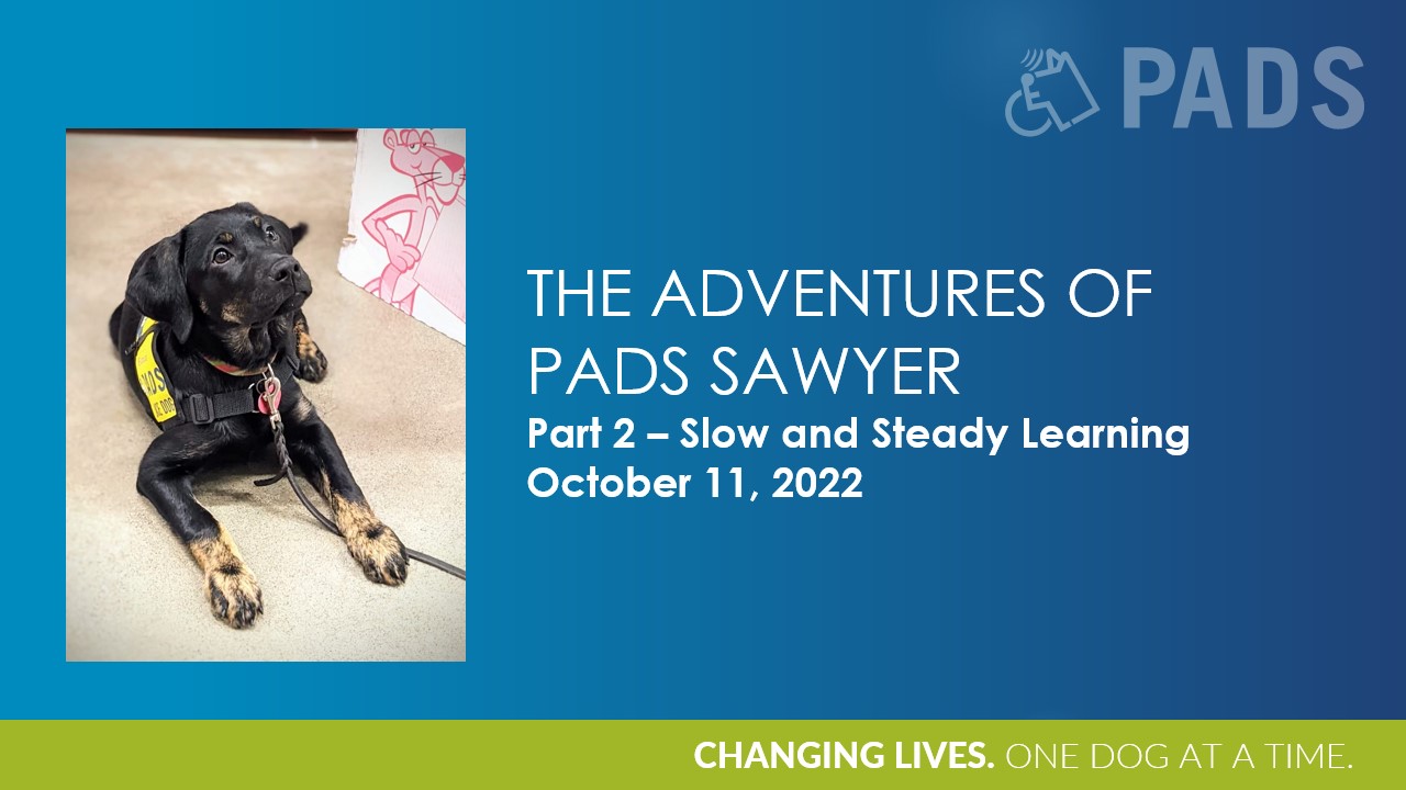 Welcome to PADS - The Pacific Assistance Dogs Society