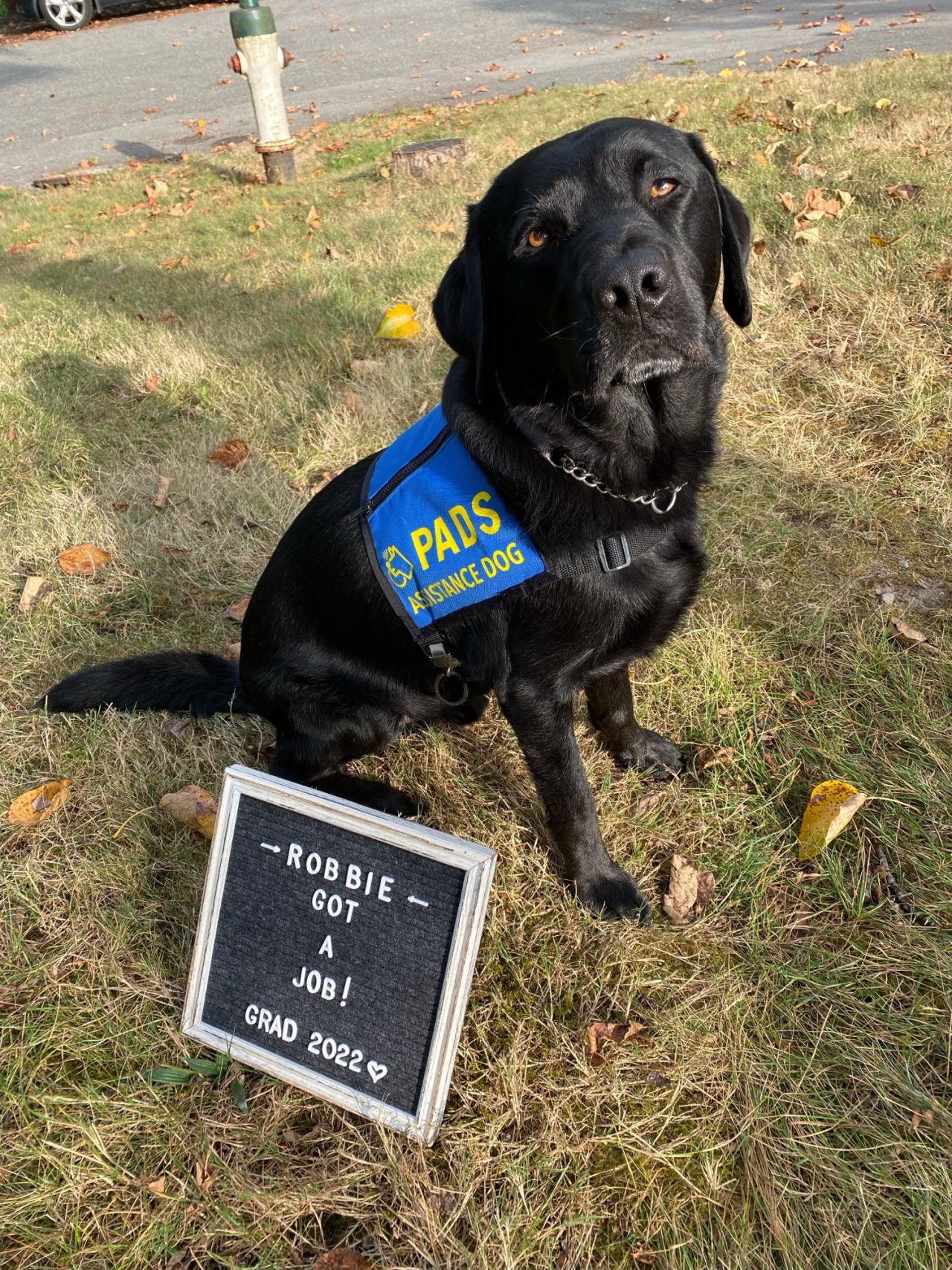 Robbie | September 2022 - PADS