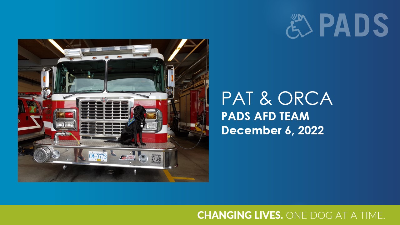 Meet Pat and Orca - PADS