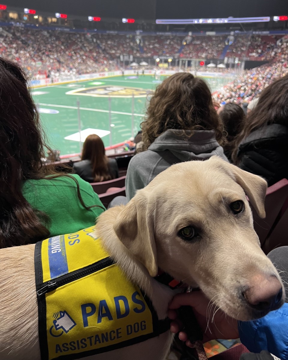 Radar II | December 2022 - PADS