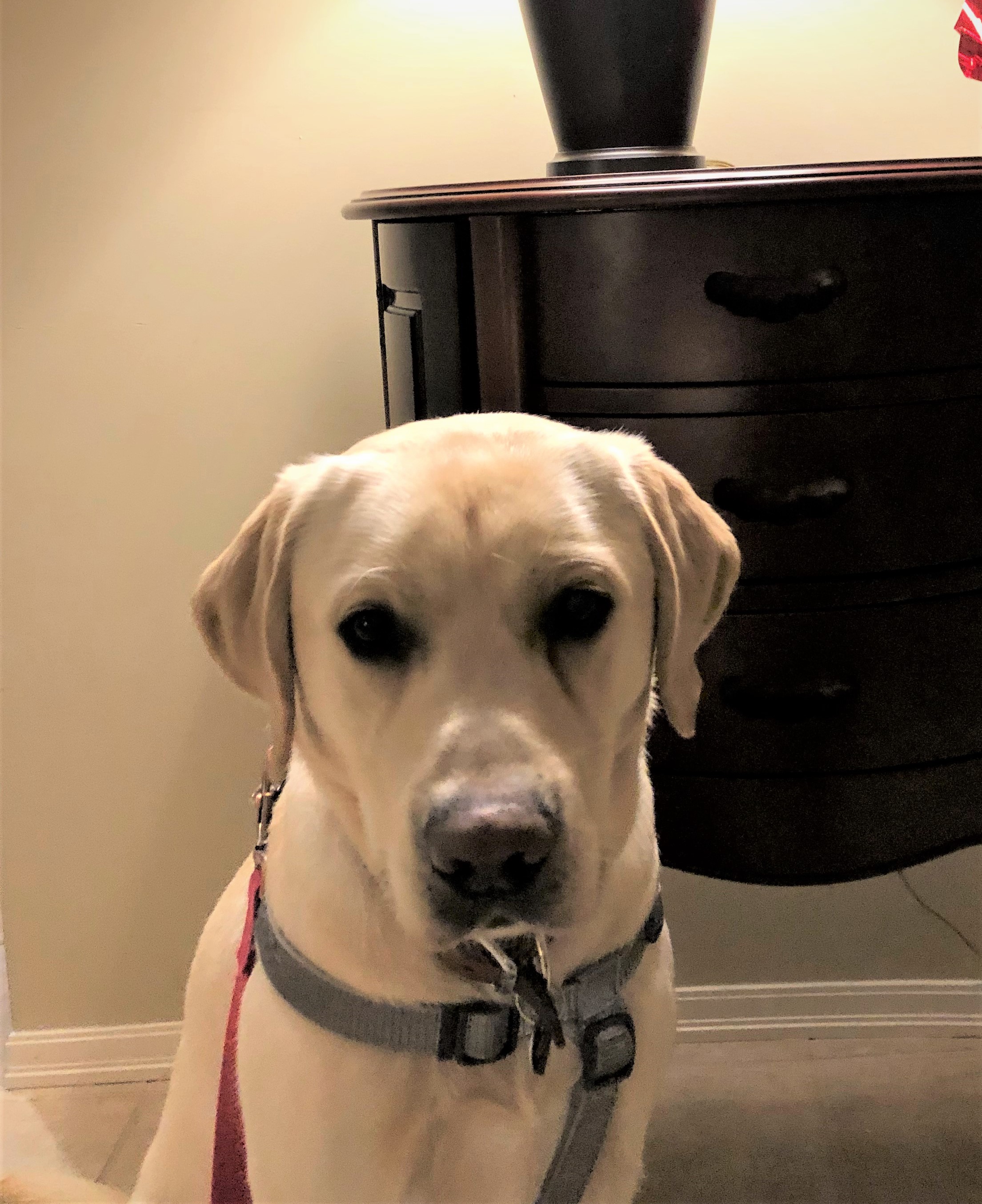 Mango II | February 2023 - PADS