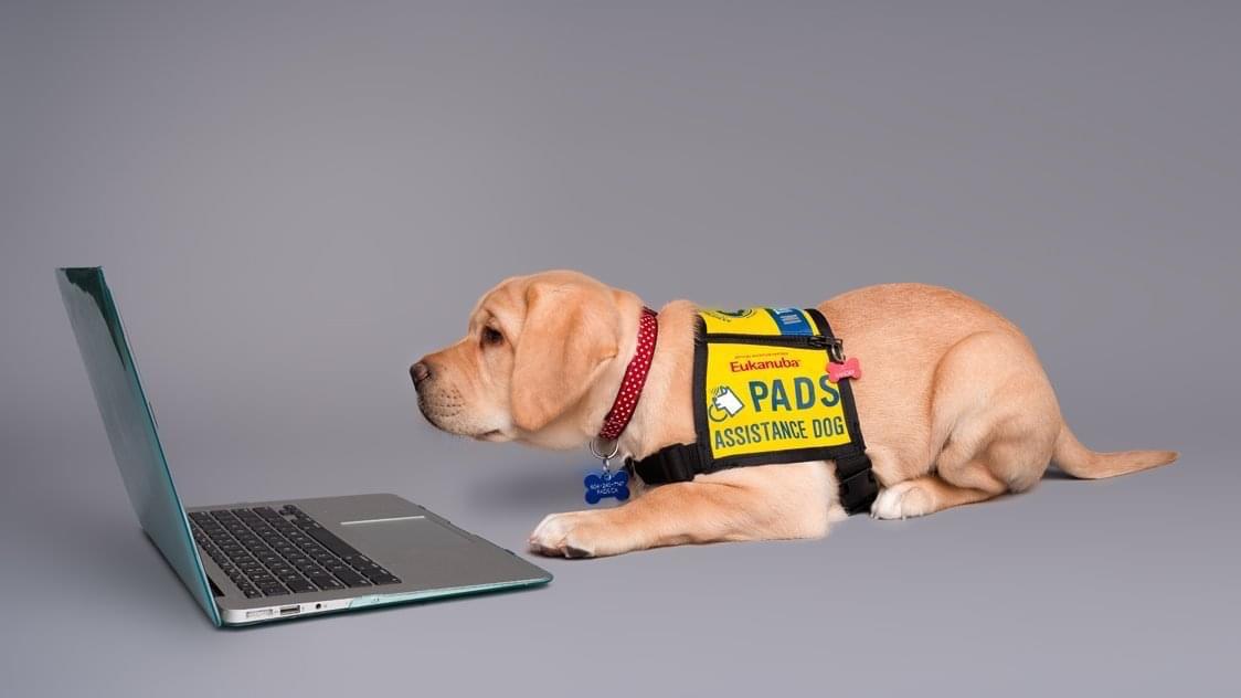 PADS – Changing Lives. One Dog at a Time.