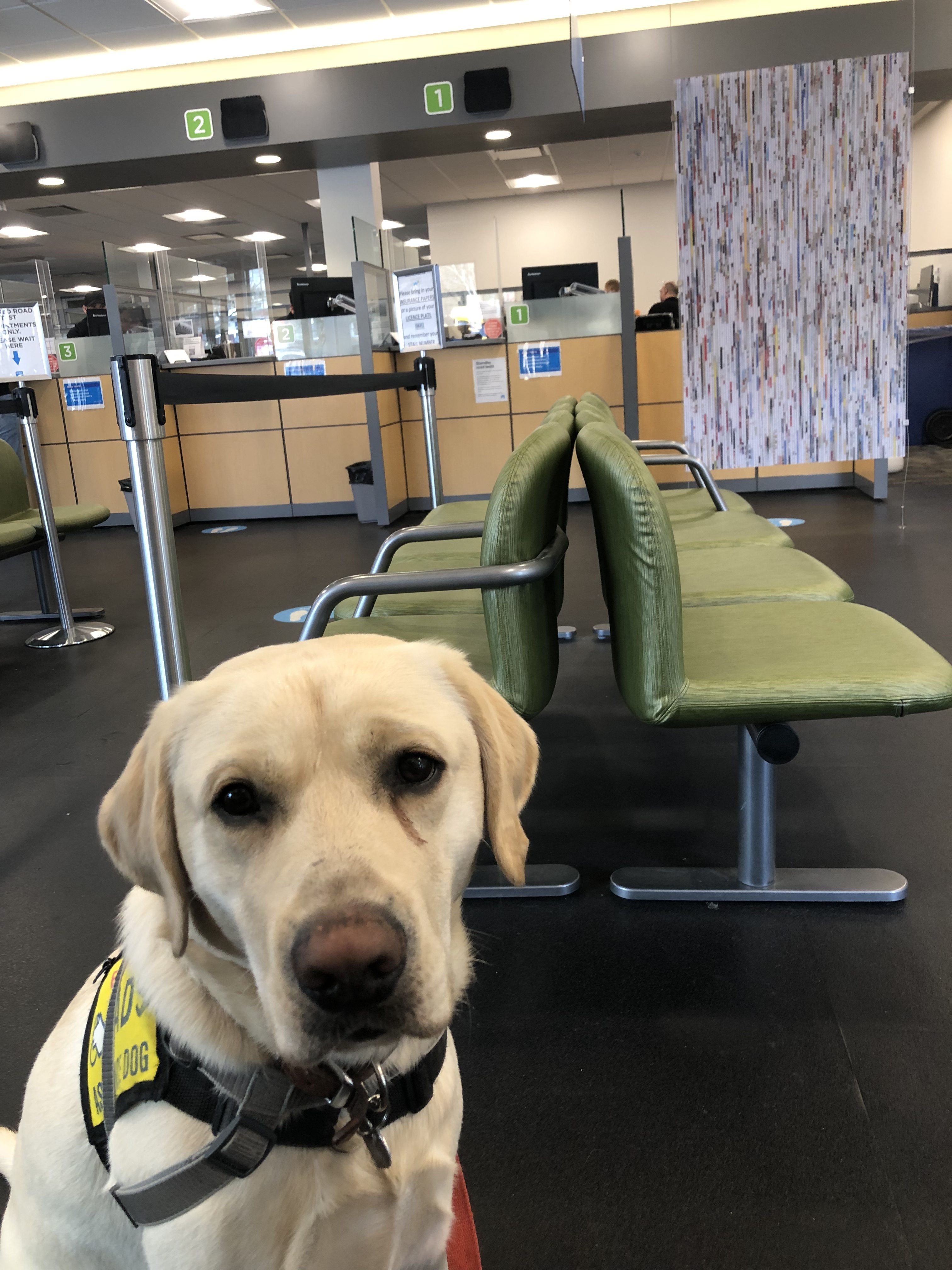 Mango II | March 2023 - PADS