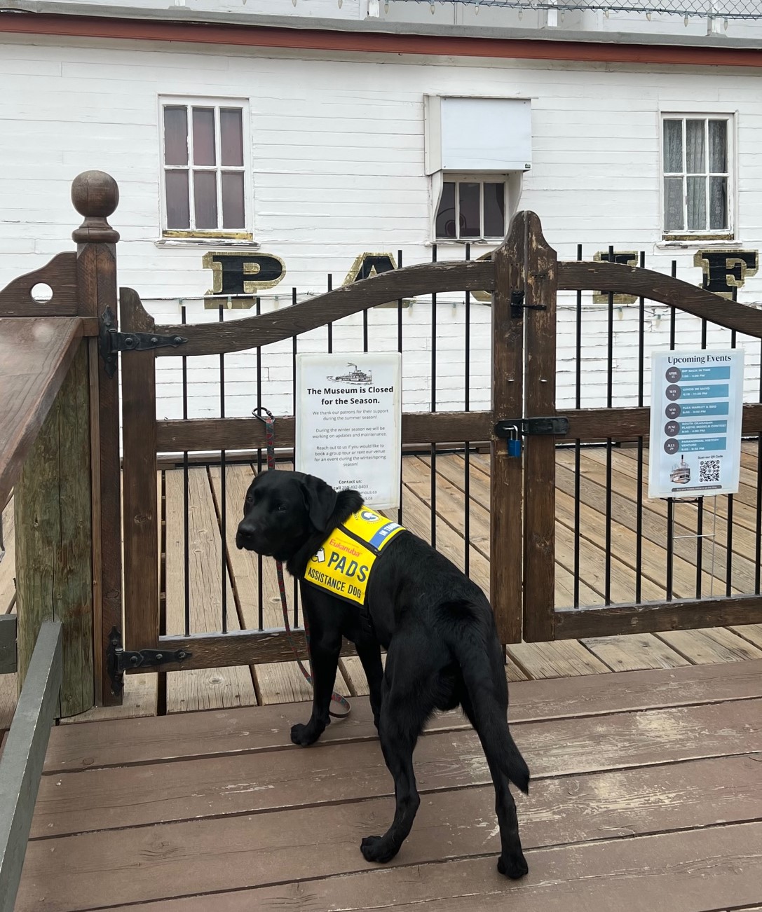 Melon | April 2023 - PADS