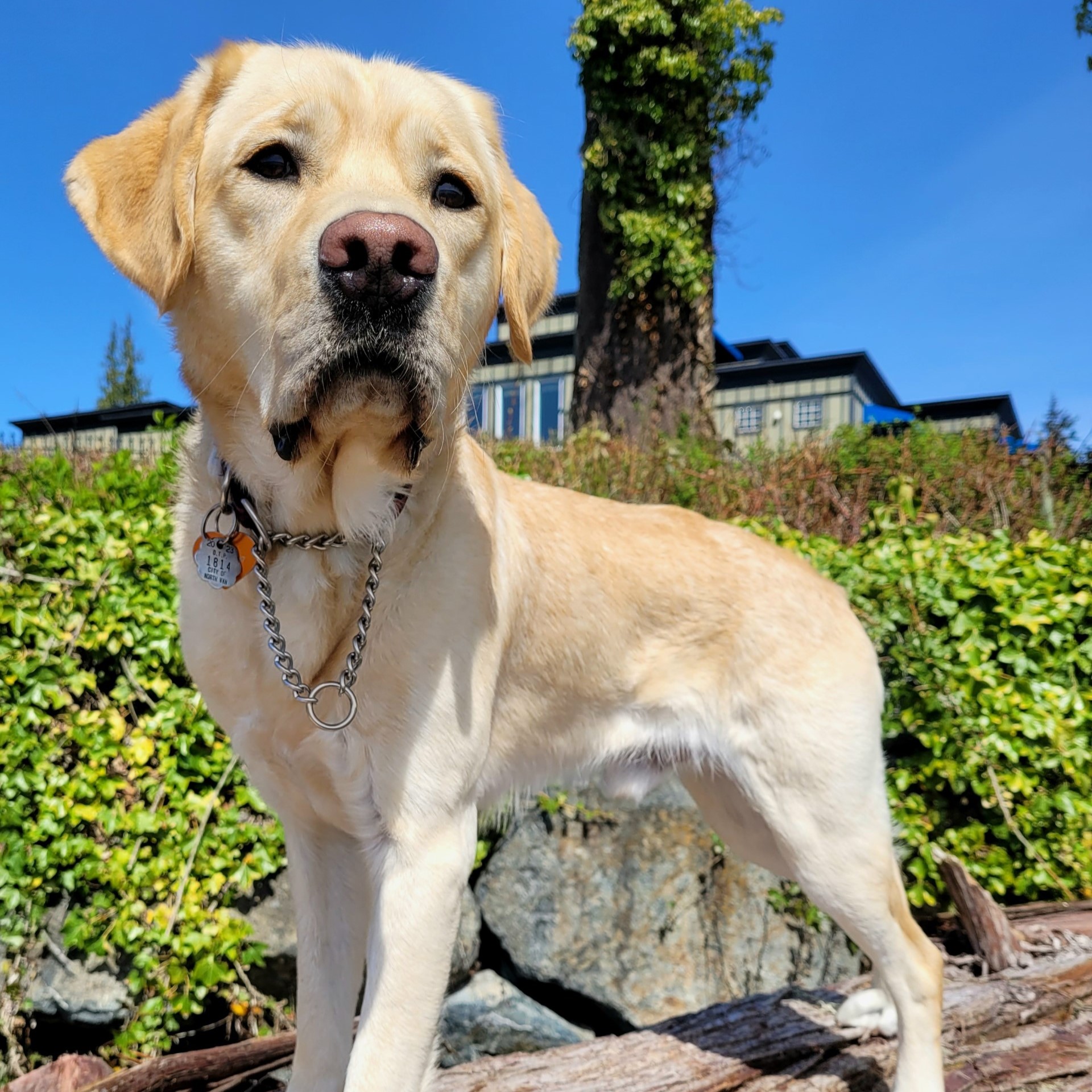 Dylan II | April 2023 - PADS