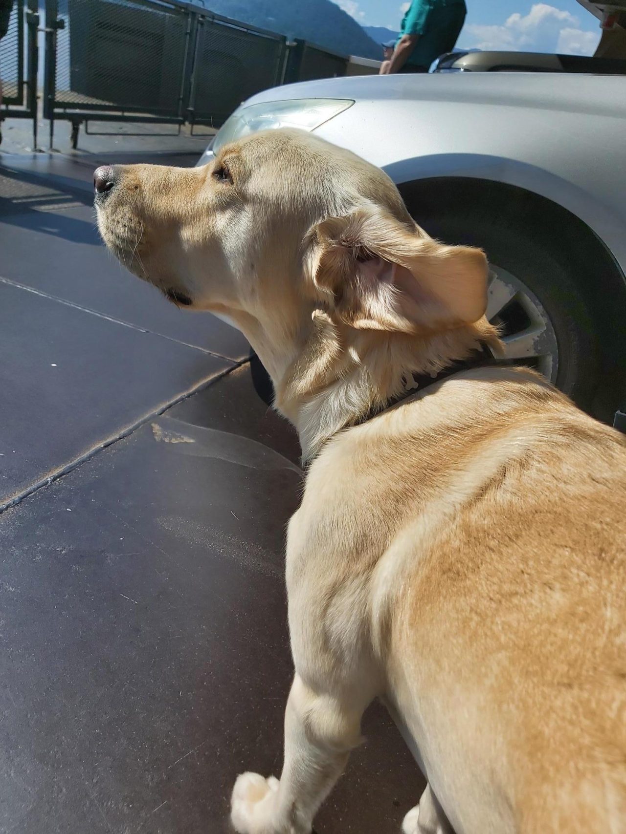 Dash II | May 2023 - PADS