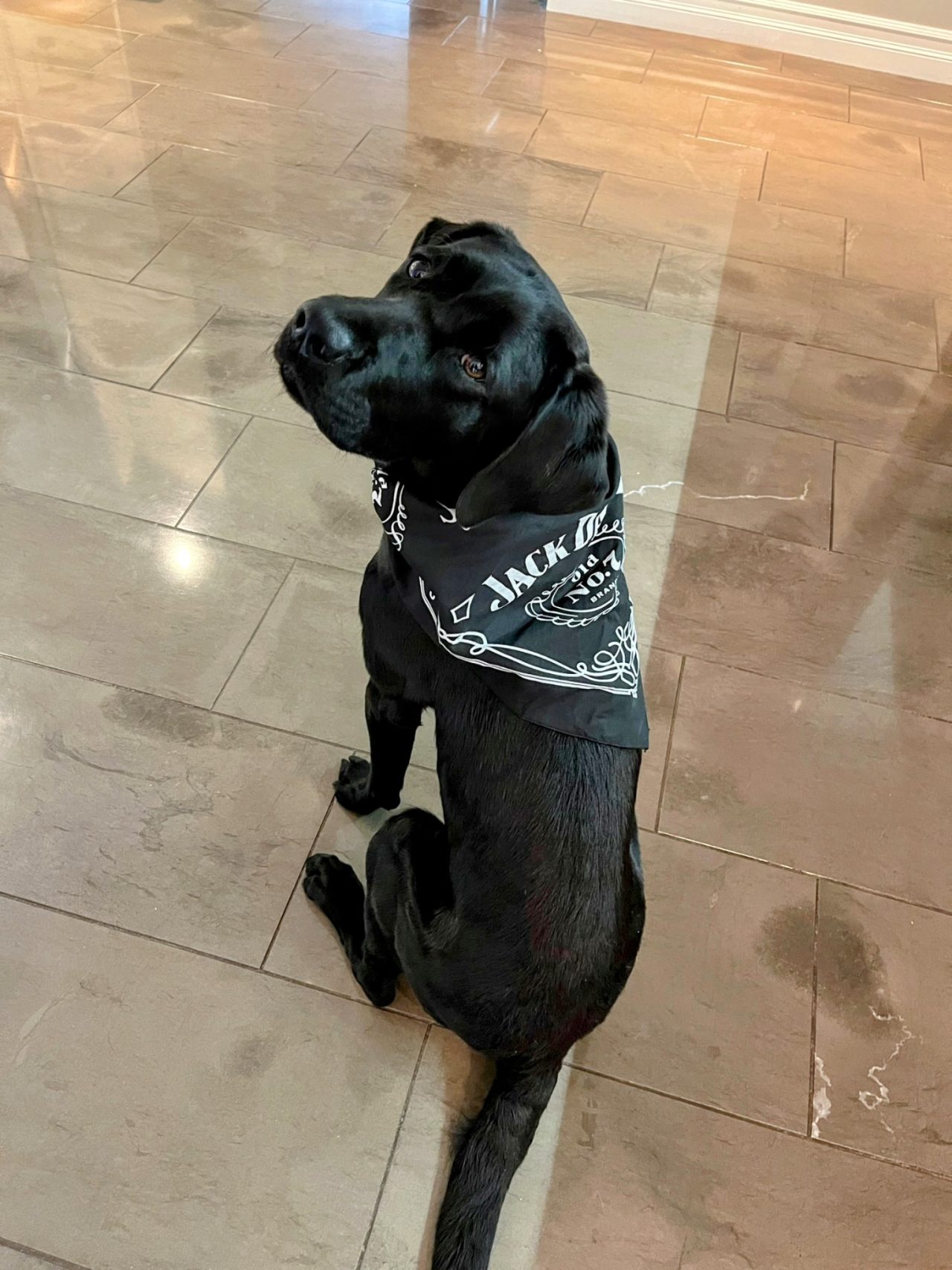 Pecan II | July 2023 - PADS