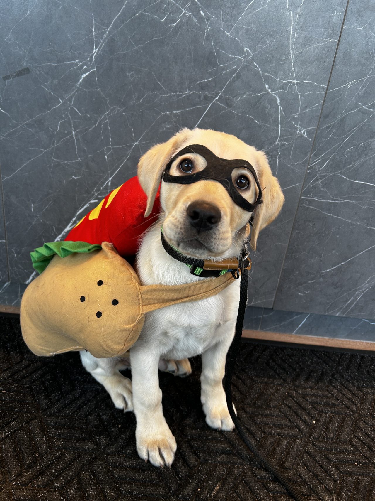 Morley | October 2023 - PADS