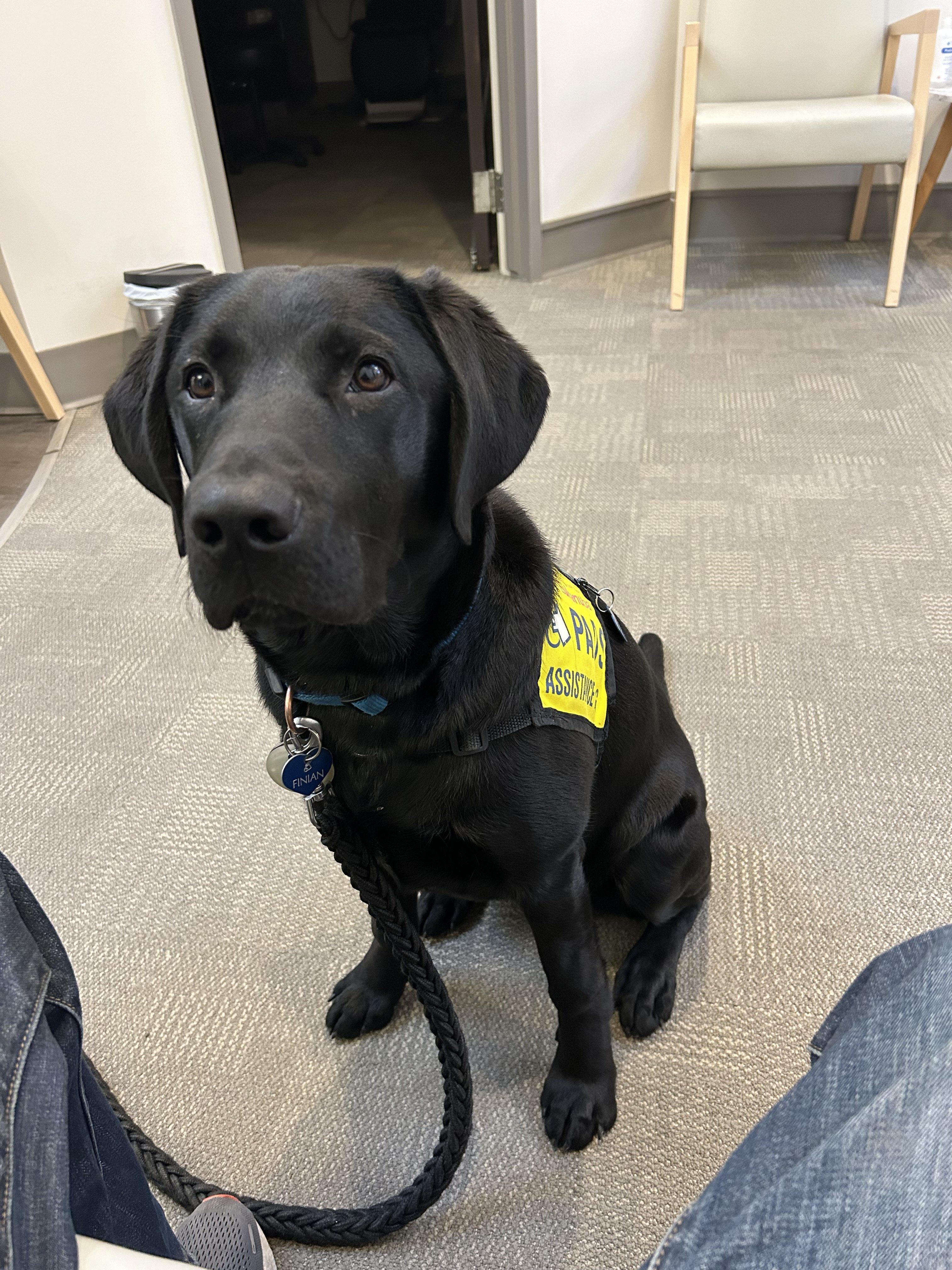 Finian | February 2024 - PADS