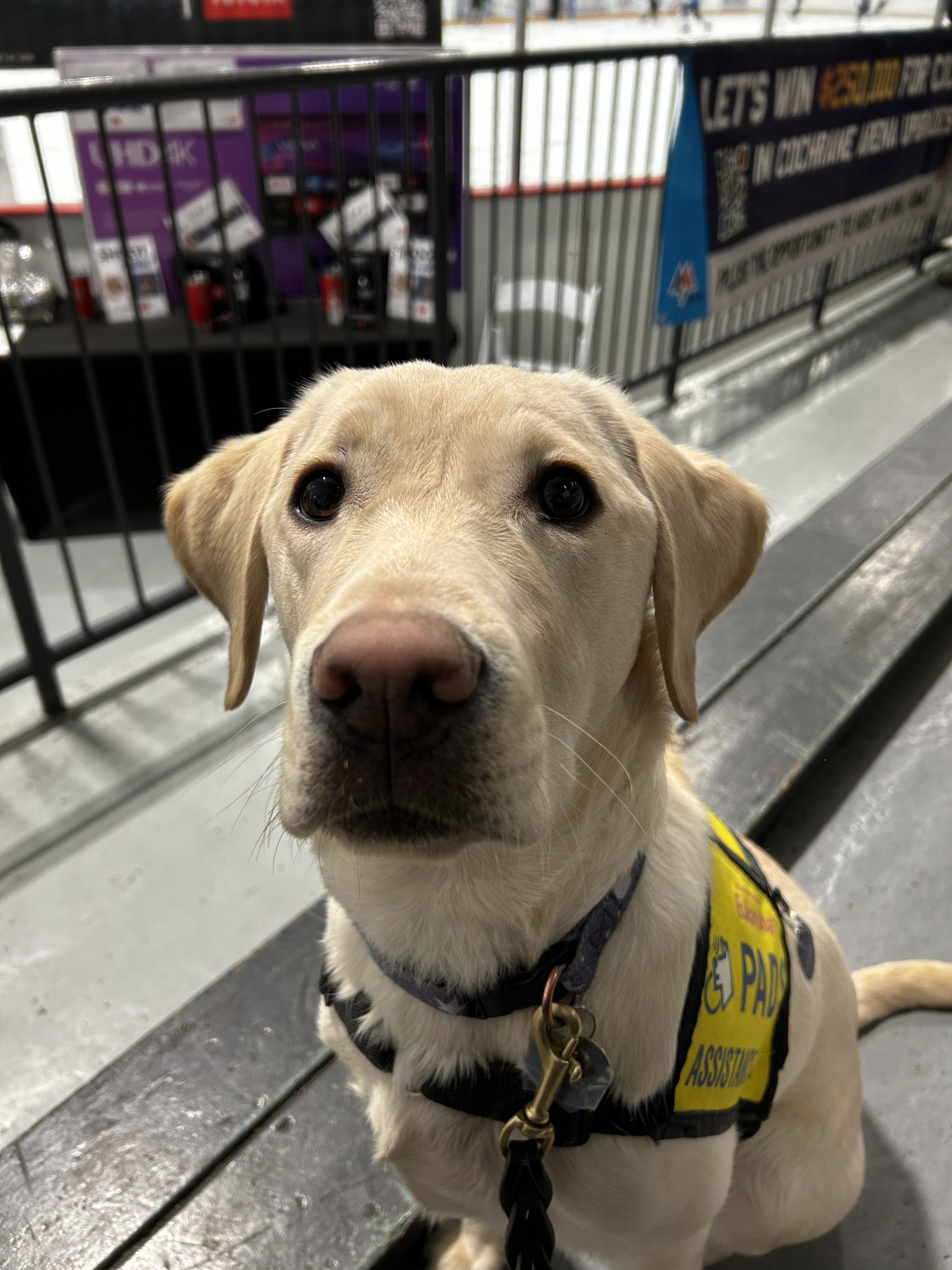 Morley | February 2024 - PADS