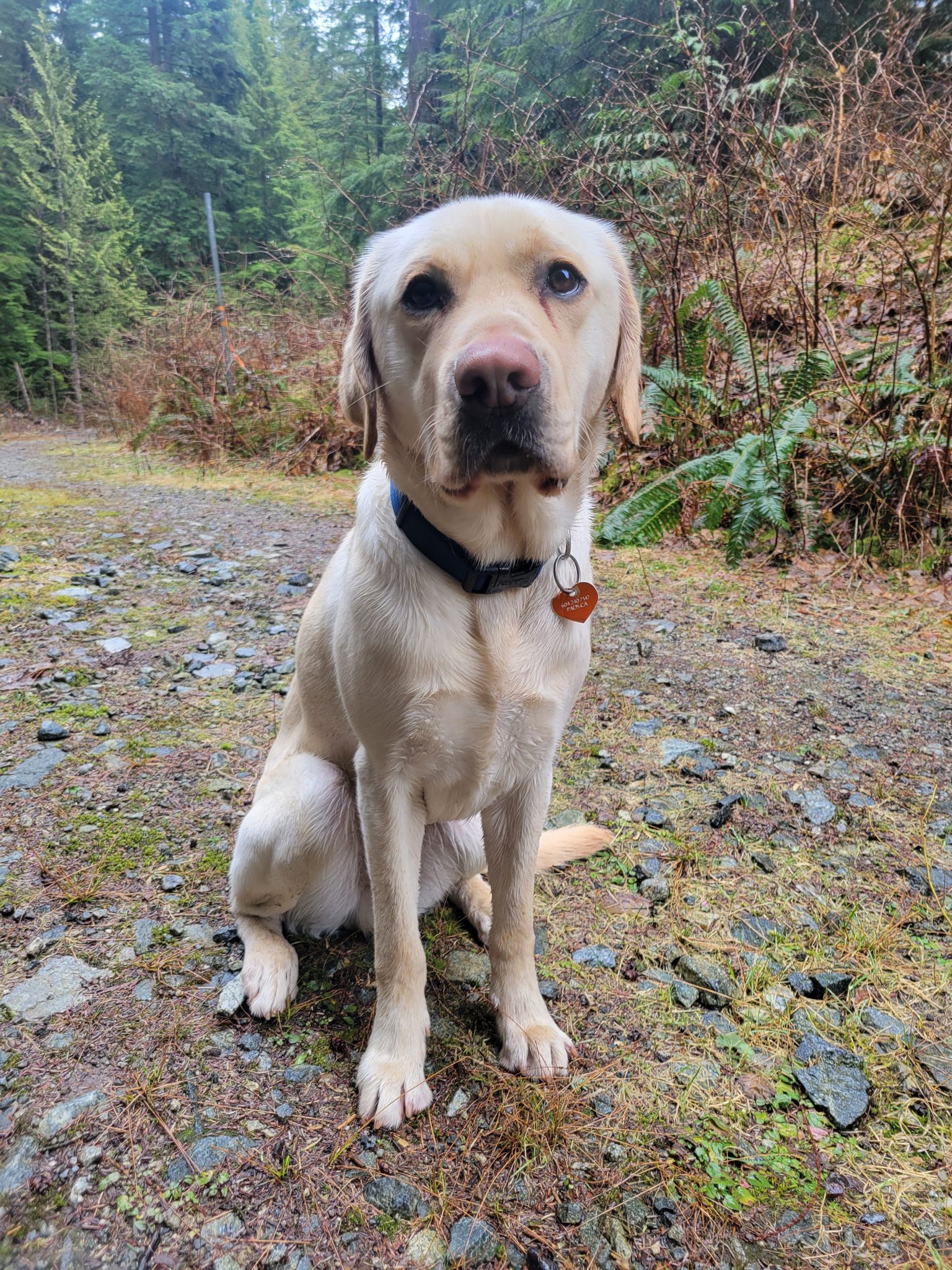 Mango II | March 2024 - PADS