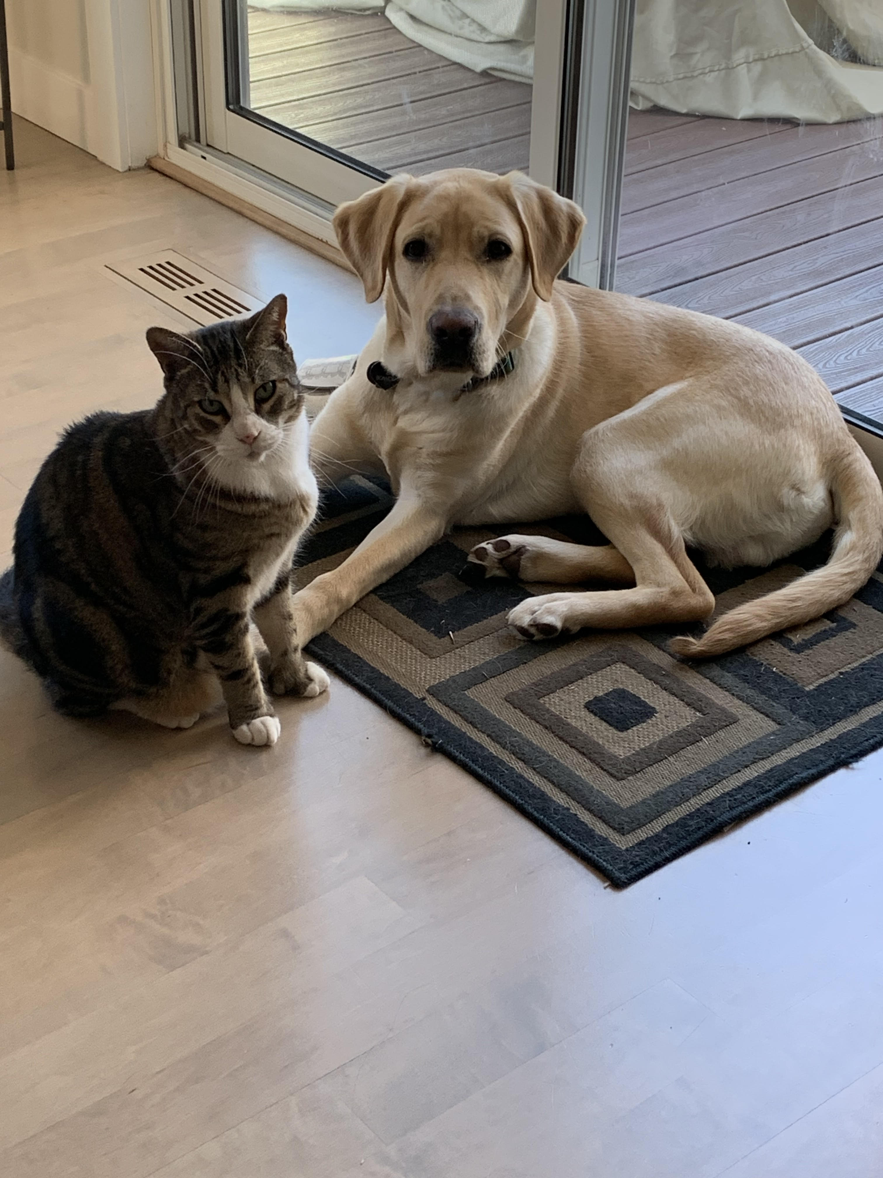 Bowden | April 2024 - PADS