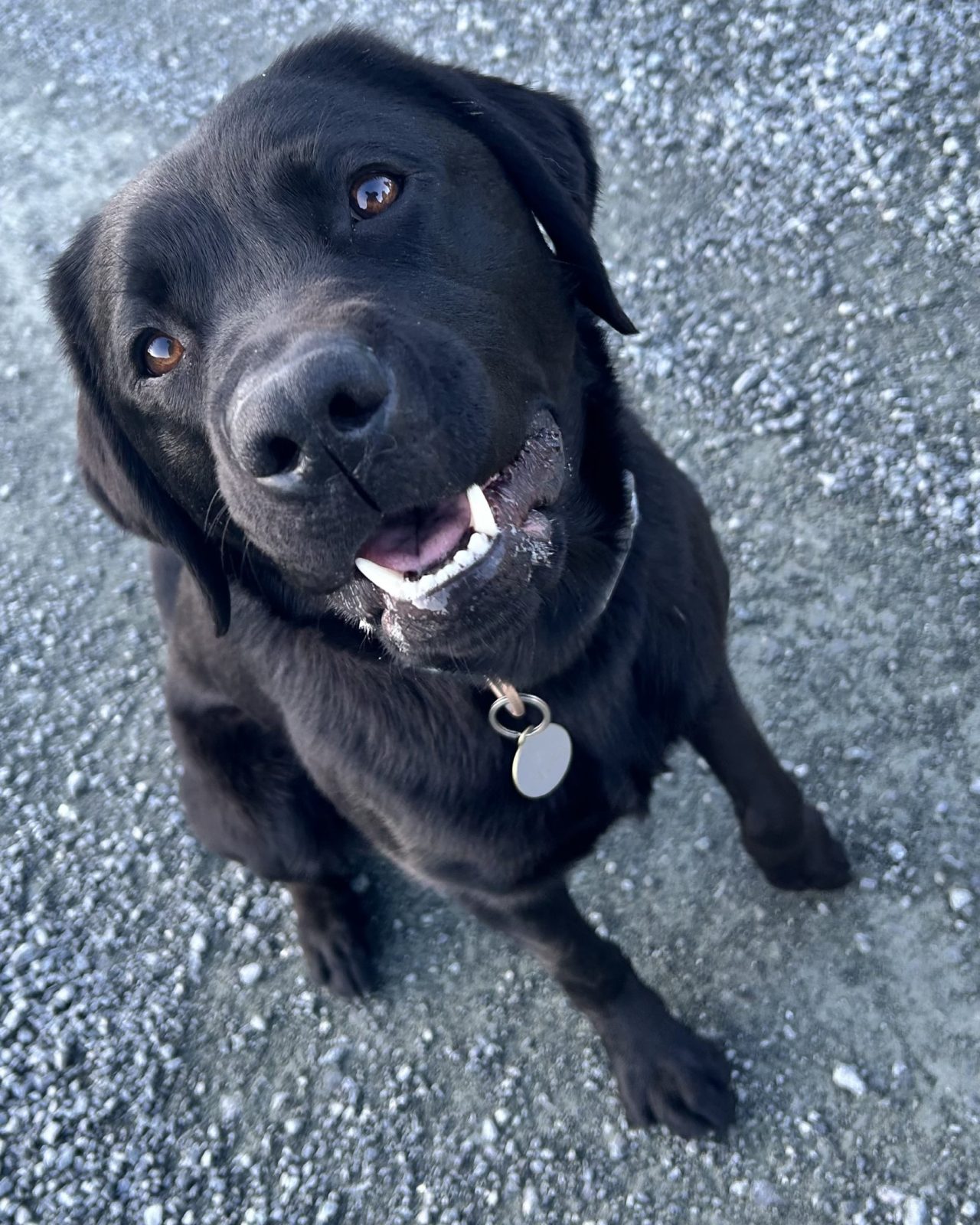 Alma | May 2024 - PADS