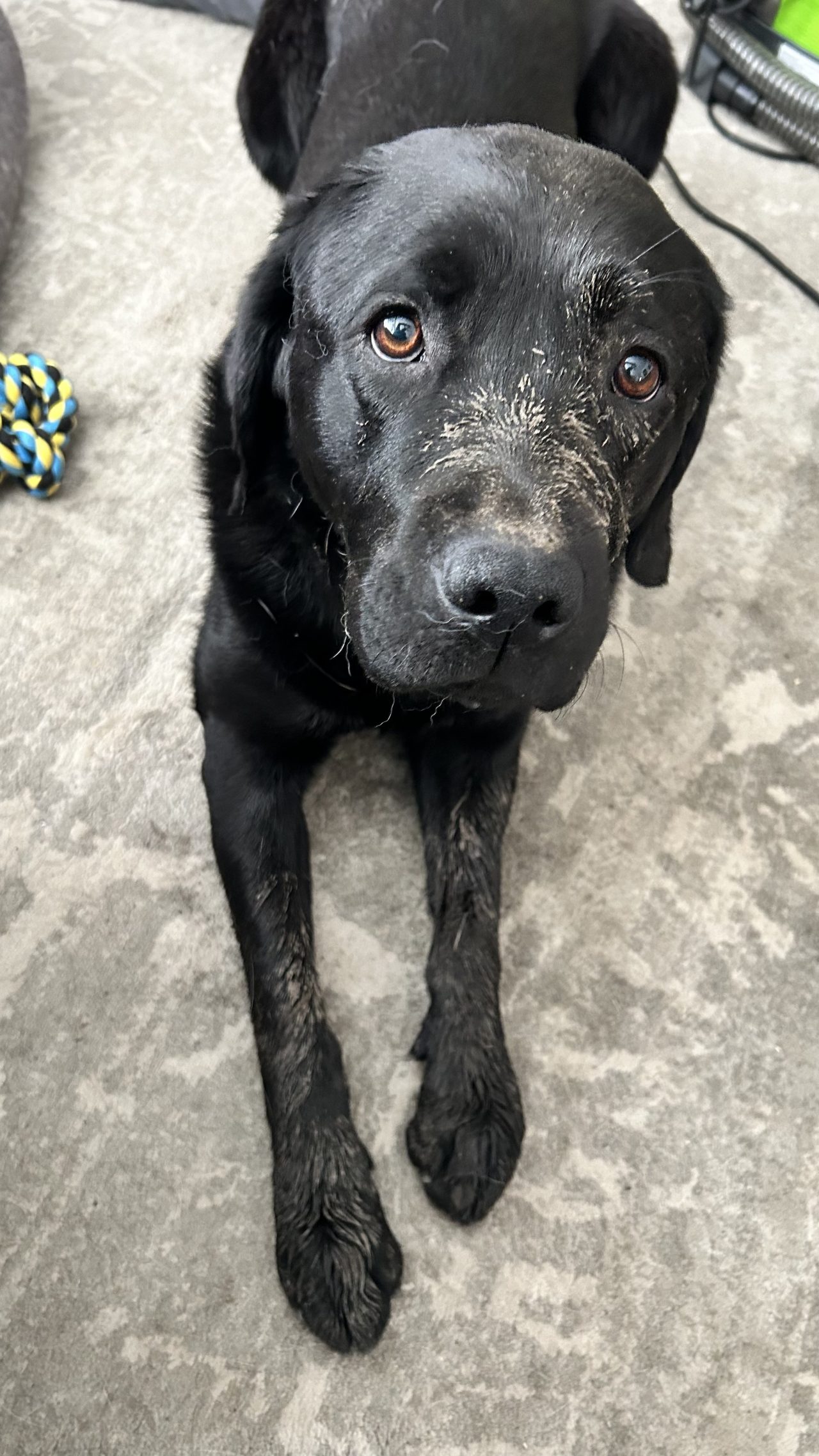 Alma | June 2024 - PADS