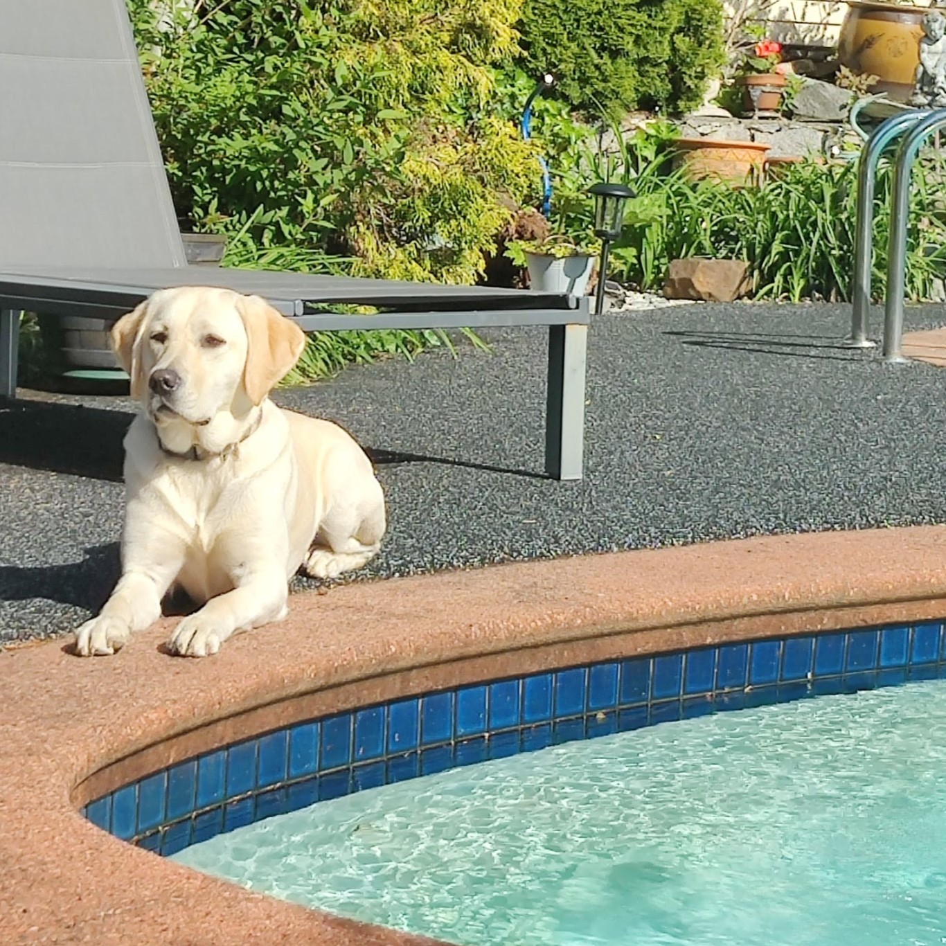 Cela | June 2024 - PADS