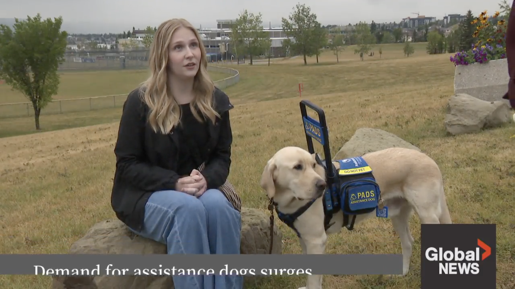 GLOBAL AB: DOUBLE YOUR DONATION - INTERNATIONAL ASSISTANCE DOG WEEK - PADS