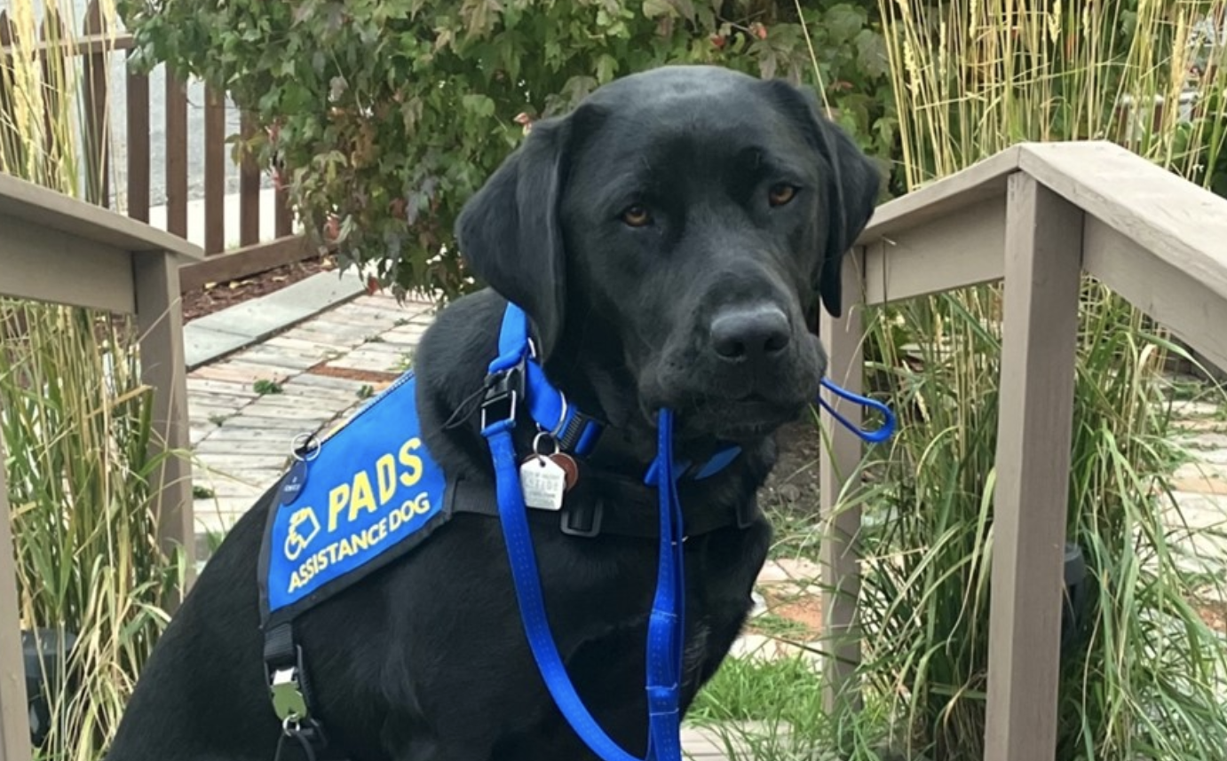 Client Care Manager | Position Filled - PADS