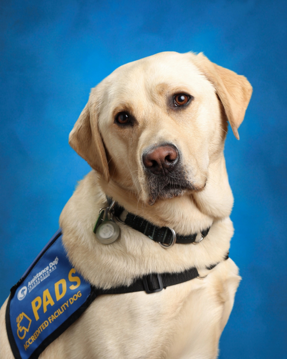 Meet Team Radar II - PADS