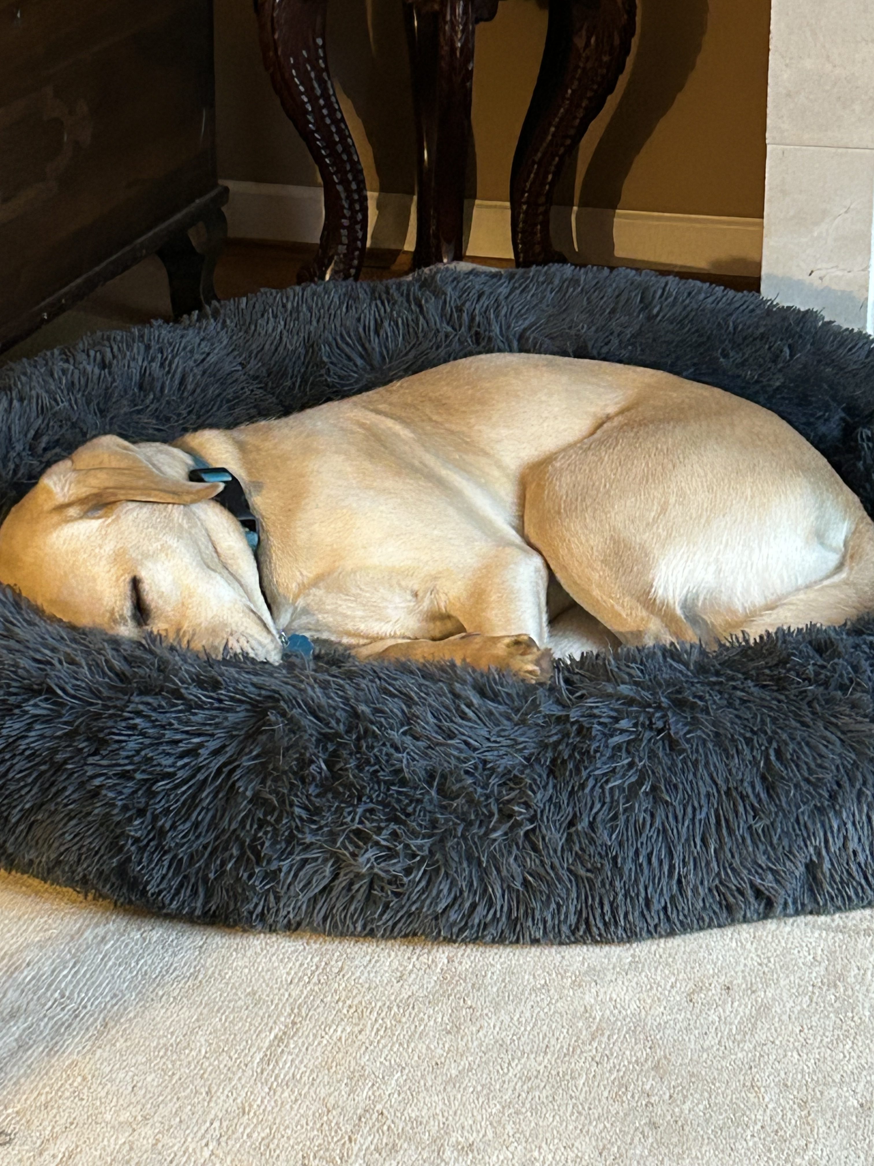 Toffee | December 2024 - PADS