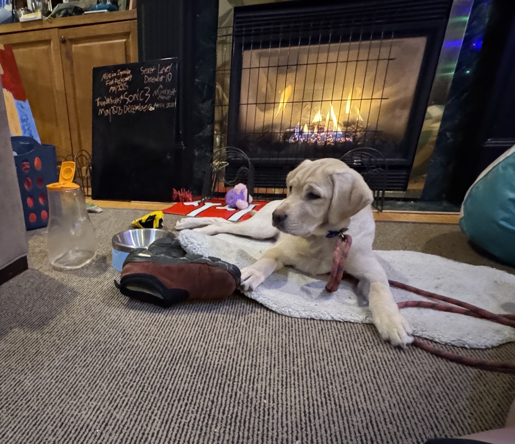 Zoe | December 2024 - PADS