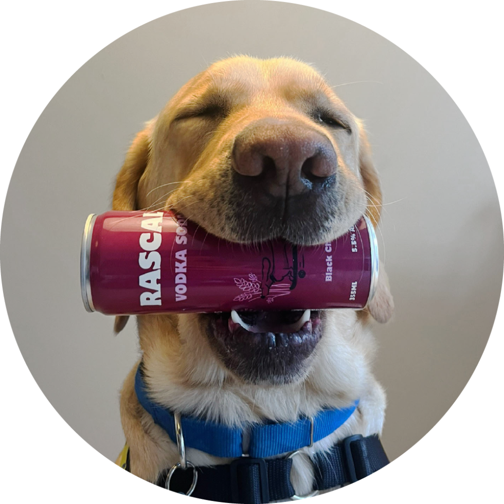 Welcome to PADS - The Pacific Assistance Dogs Society