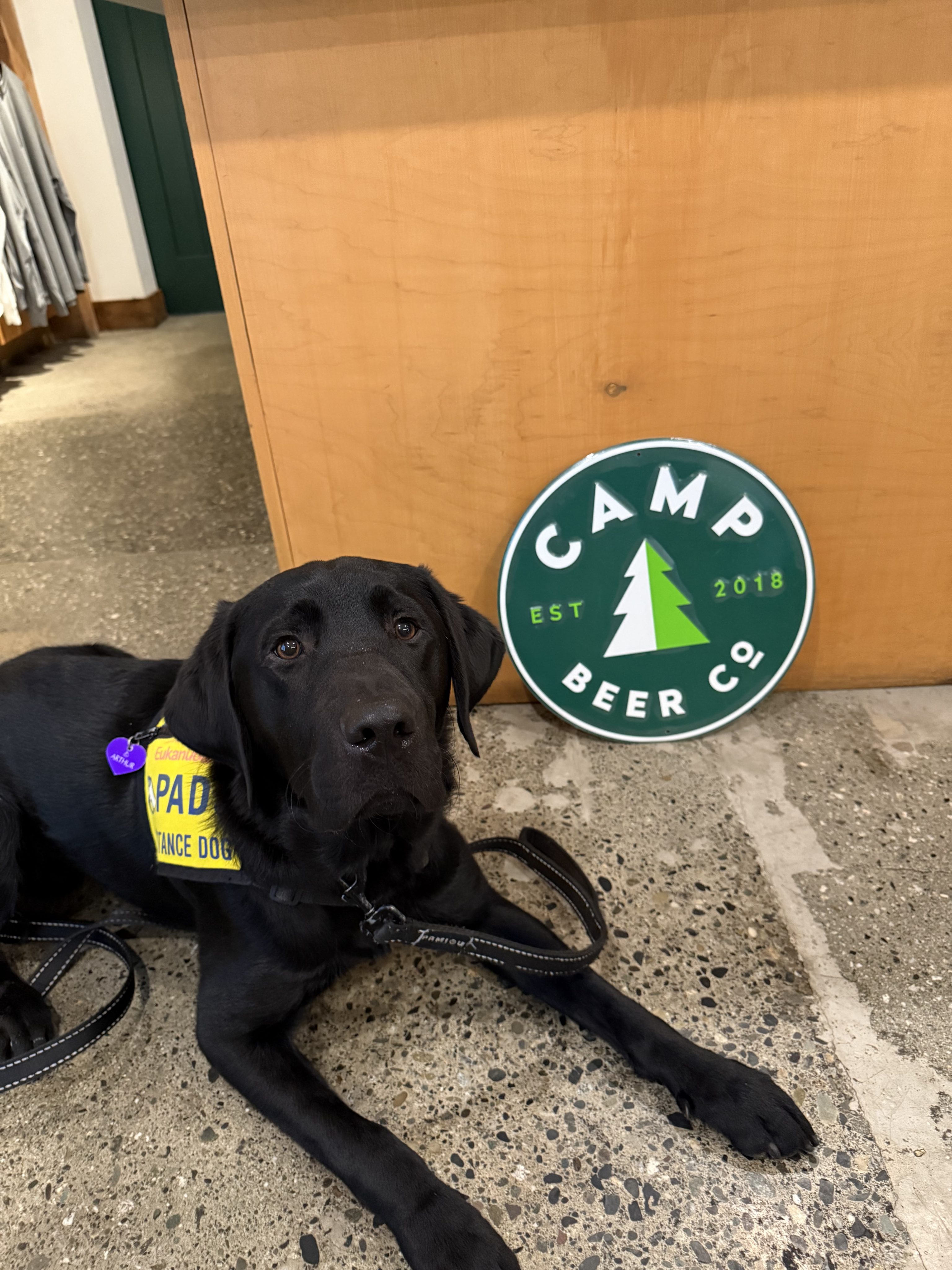 Arthur | May 2025 - PADS