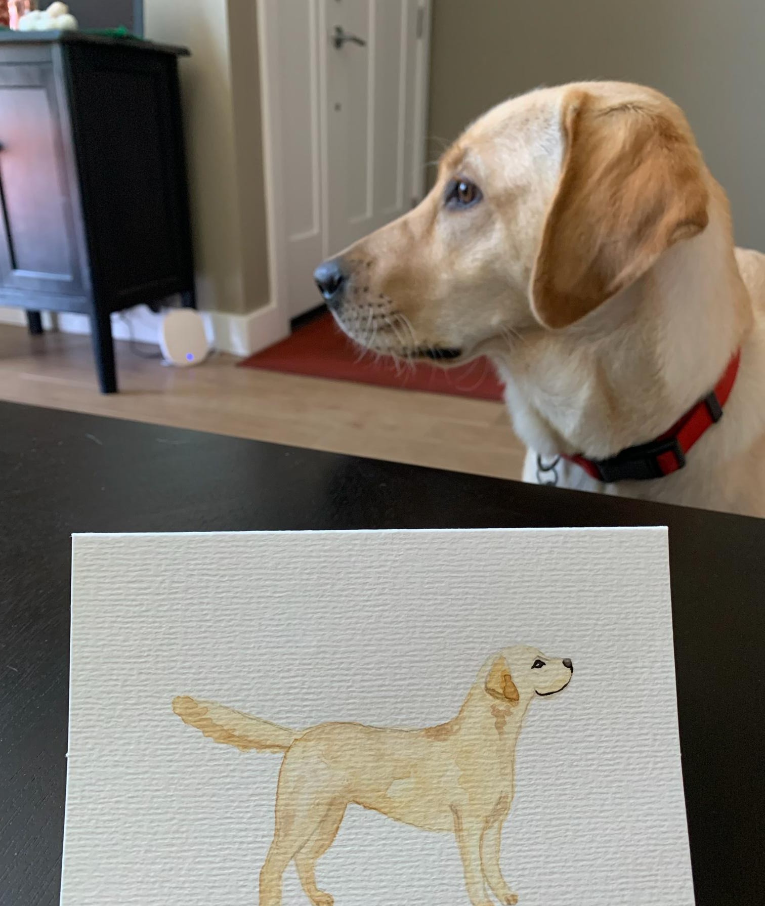 Mozza | May 2025 - PADS