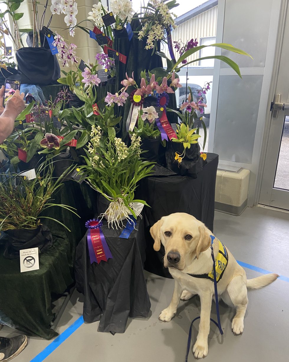 Astro II | June 2025 - PADS