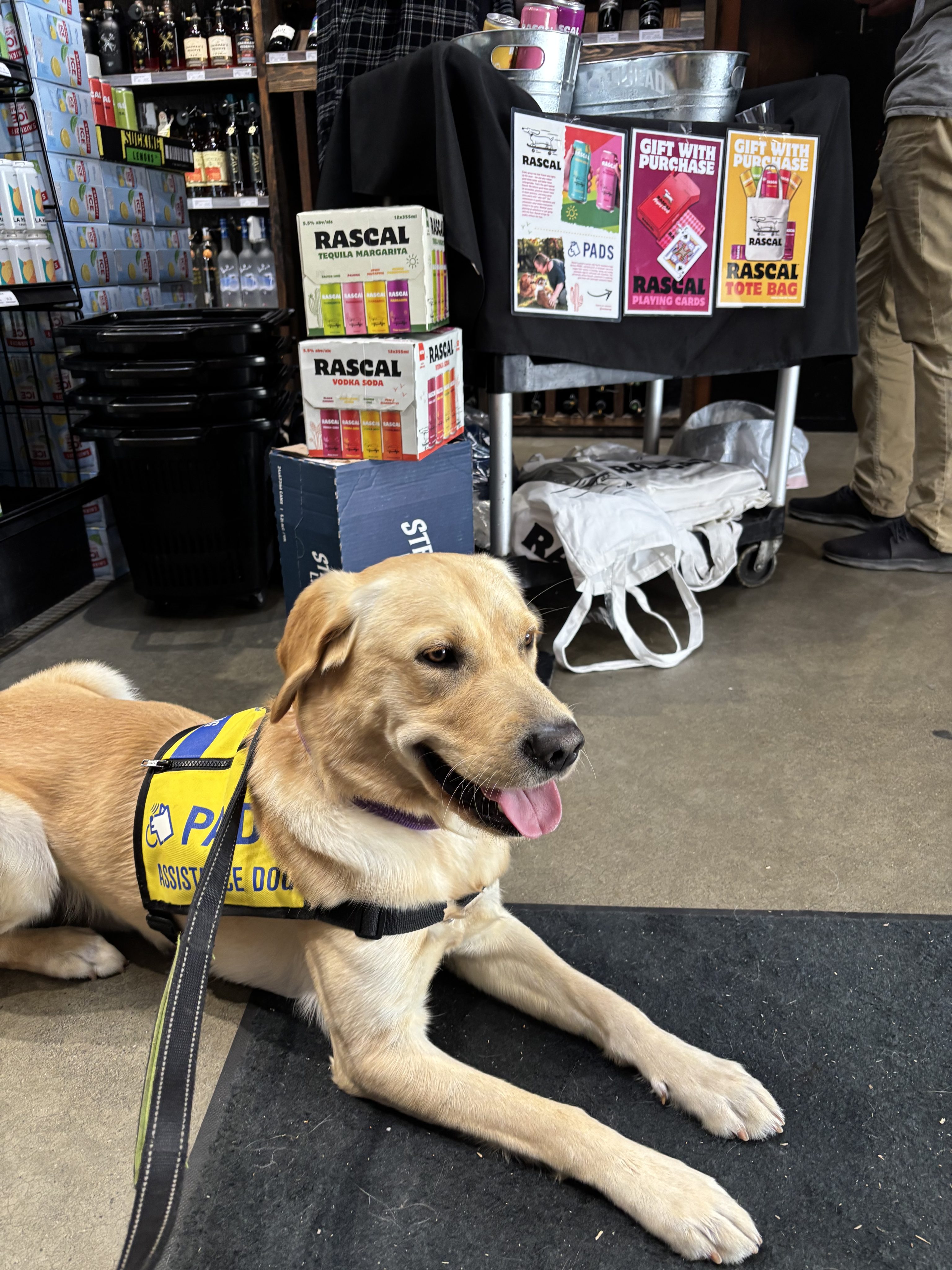 Picard | June 2025 - PADS