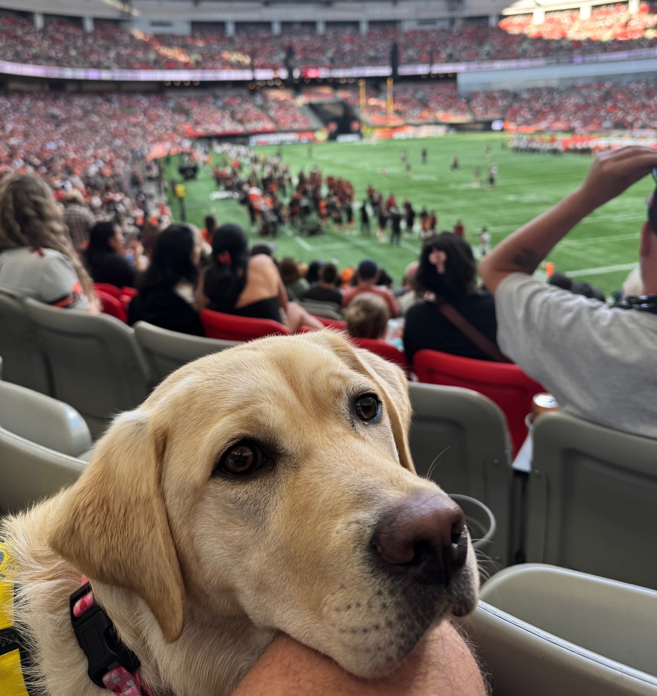 Skaha III | June 2025 - PADS