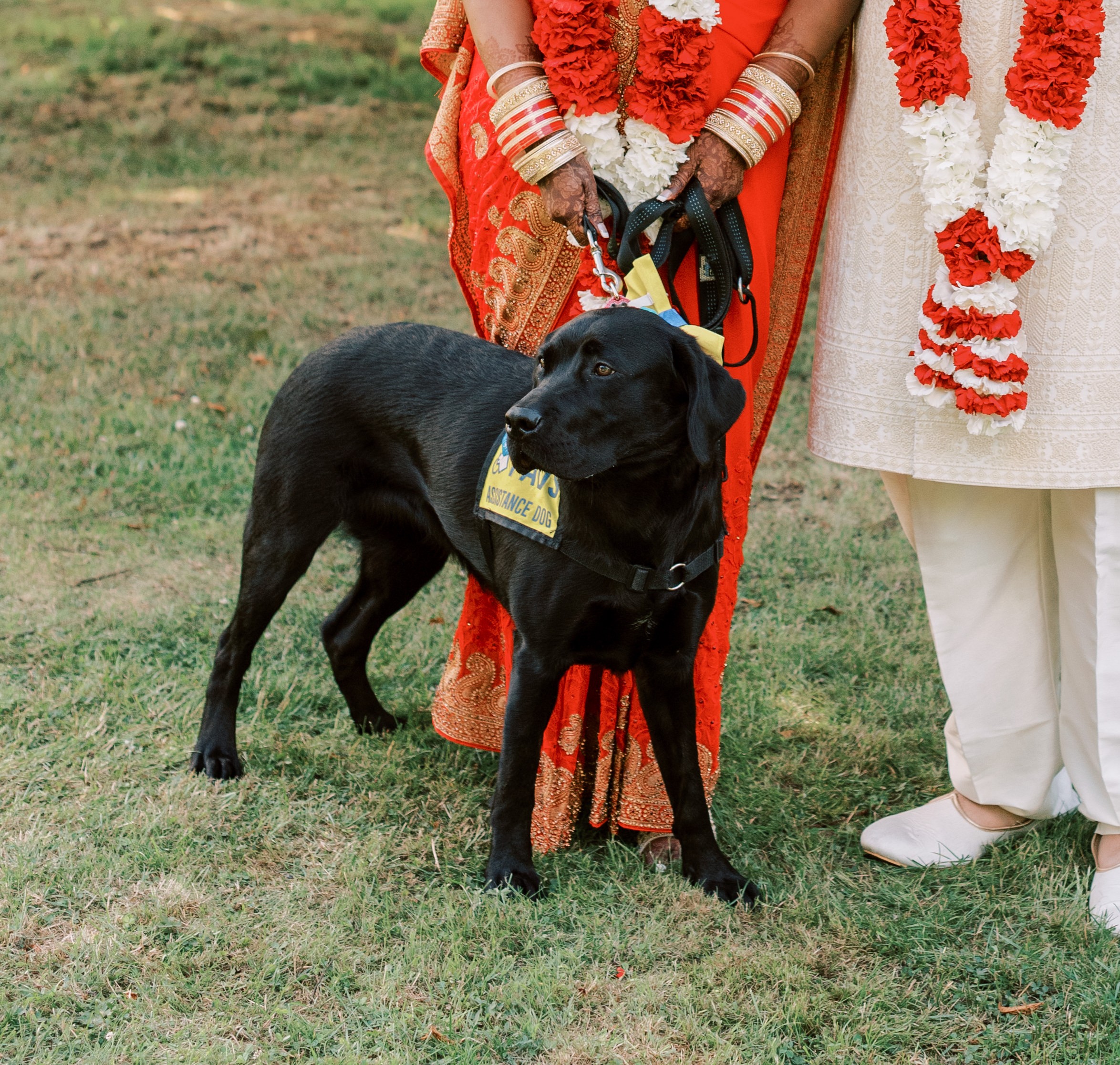 Sparx | June 2025 - PADS