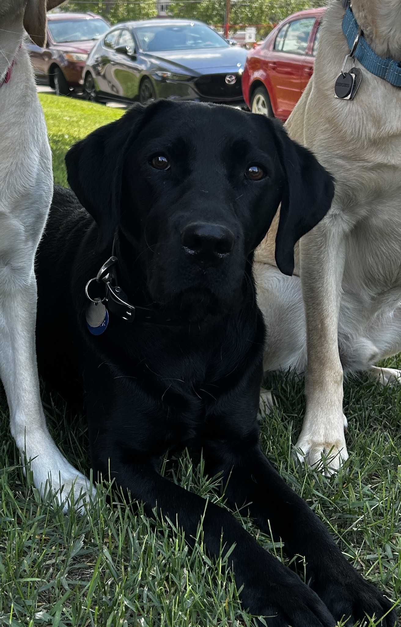 Taber | June 2025 - PADS