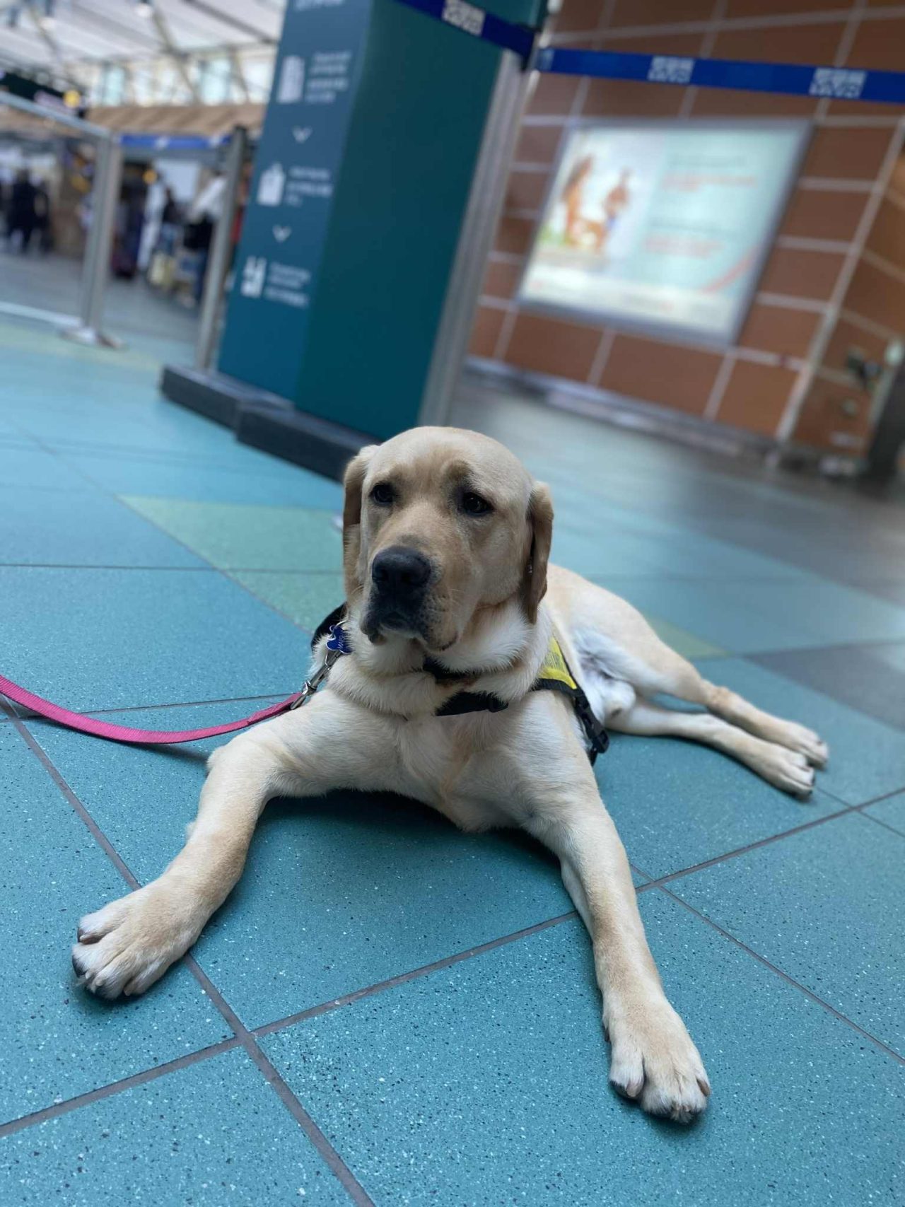 Marsh II | August 2025 - PADS