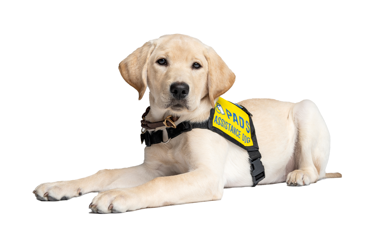 Welcome to PADS - The Pacific Assistance Dogs Society