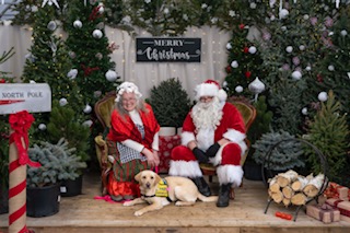 Tesla | December 2025 - PADS