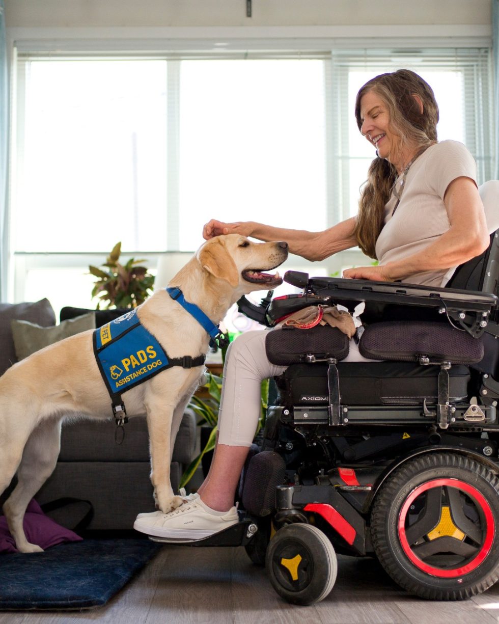 Our Assistance Dogs
