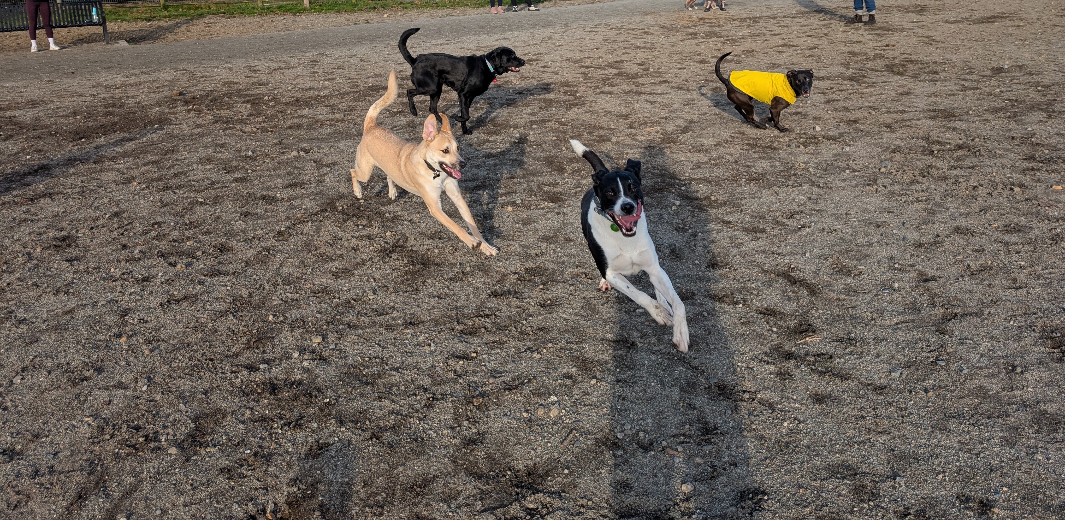 Digger | December 2025 - PADS